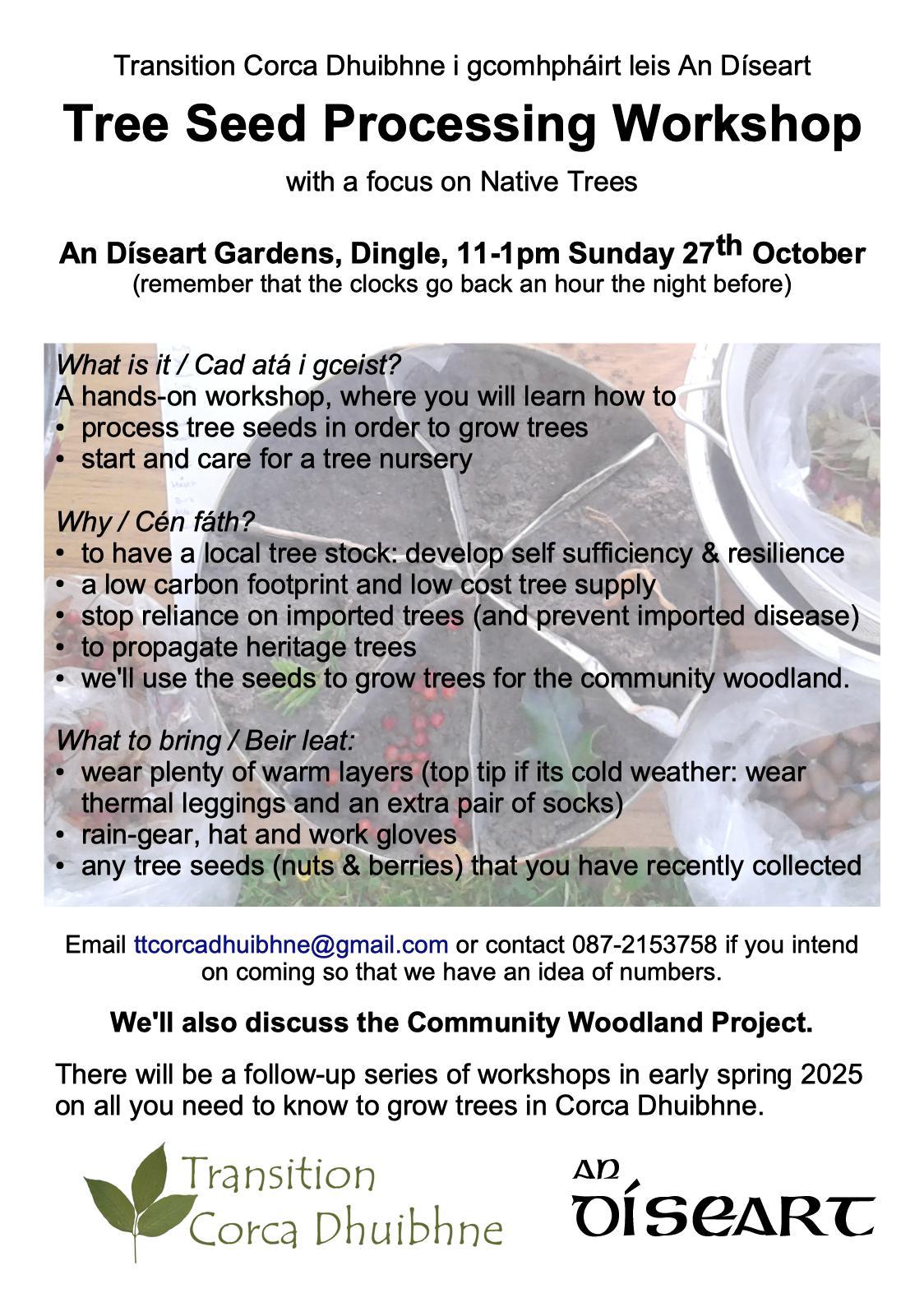 Tree Seed Processing Workshop - Díseart Institute of Irish Spirituality ...